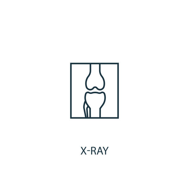 Gambar X Ray Teknik Pencitraan Ilmiah Ilustrasi Grafik Vektor And Clip