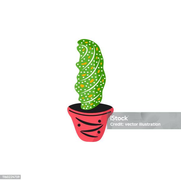 Icône Du Modèle De Dessin Animé De Cactus Cereus Repandus Pour Un