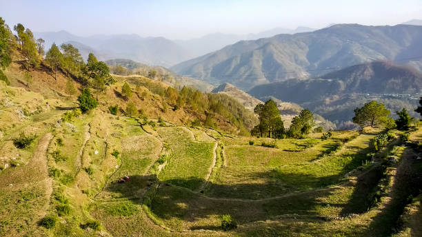 Ranikhet Pictures | Download Free Images on Unsplash
