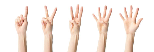 Three Fingers Pictures | Download Free Images on Unsplash