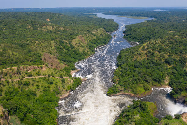 1000+ Nile River Pictures | Download Free Images on Unsplash