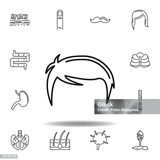 Ensemble Dorganes Humains Hommes Cheveux Contour Icône Les Signes Et