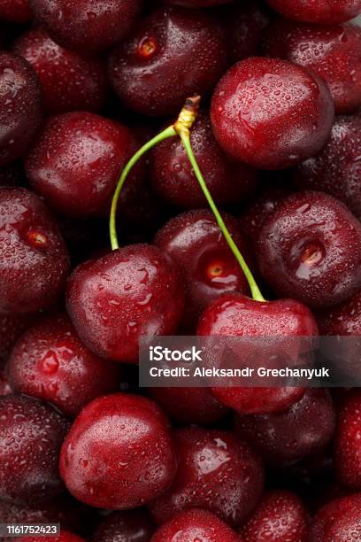 Buah Beri Matang Dan Segar Dari Ceri Manis Dengan Air Tetes Closeup