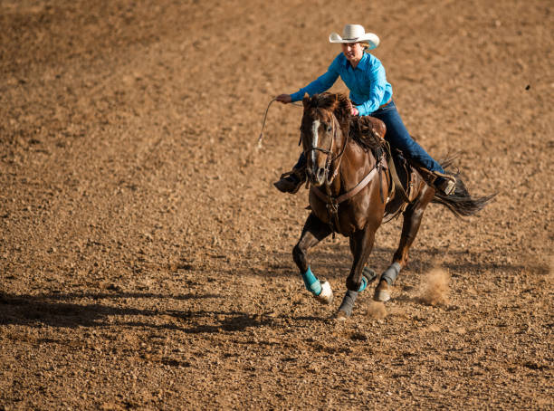 Free barrel ride stock photos. Download the best free barrel ride ...