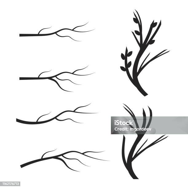 Vector E Des Branches Darbres Secs Feuilles Tourbillons Et Éléments