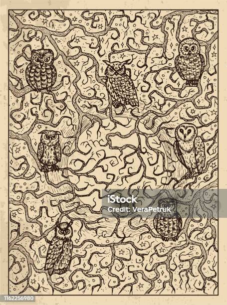 Oiseaux Concept Mystique Pour La Carte De Tarot Doracle De Lenormand