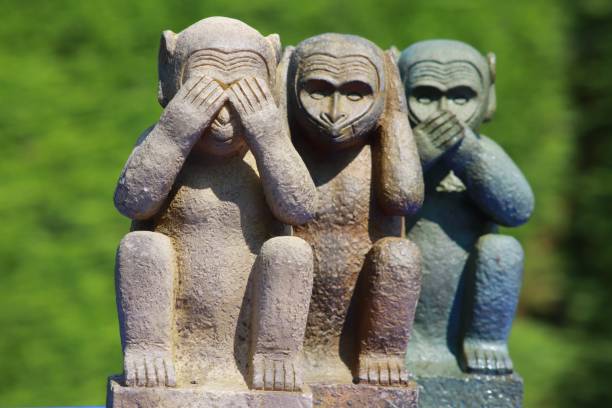 See No Evil Pictures | Download Free Images on Unsplash