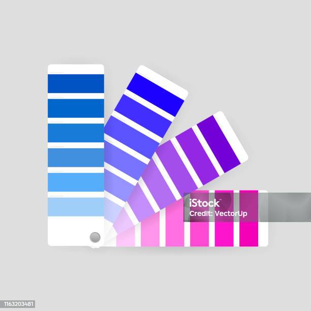 Panduan Palet Warna Pada Latar Belakang Transparan Ilustrasi Stok
