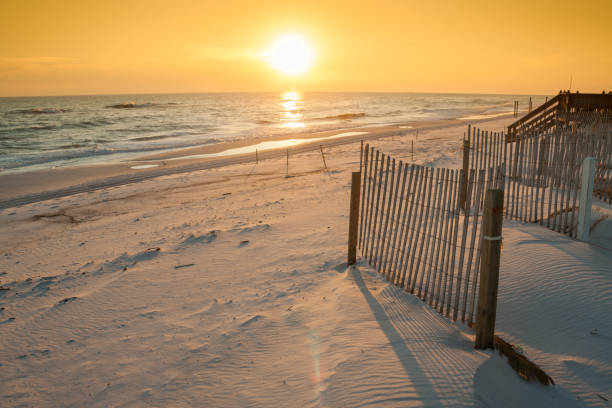 Winter Beach Pictures | Download Free Images on Unsplash