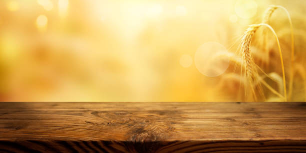 30k+ Wheat Background Pictures | Download Free Images on Unsplash