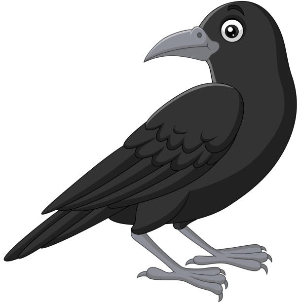 400 Corbeau Freux Illustrations Illustrations Graphiques Vectoriels Libre De Droits Et Clip