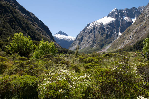 Free picture: Cory and Edith pass with valley in national park landscape