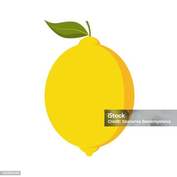Buah Lemon Dengan Daun Dan Tangkai Buah Kuning Dalam Gaya Kartun Ilustrasi Vektor Ilustrasi Stok