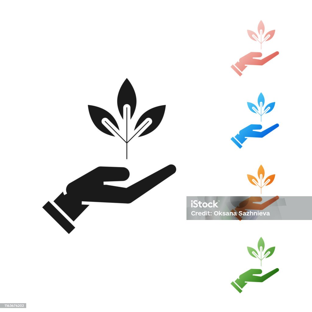 Plante Noire Dans La Main De Licône De Protection De Lenvironnement
