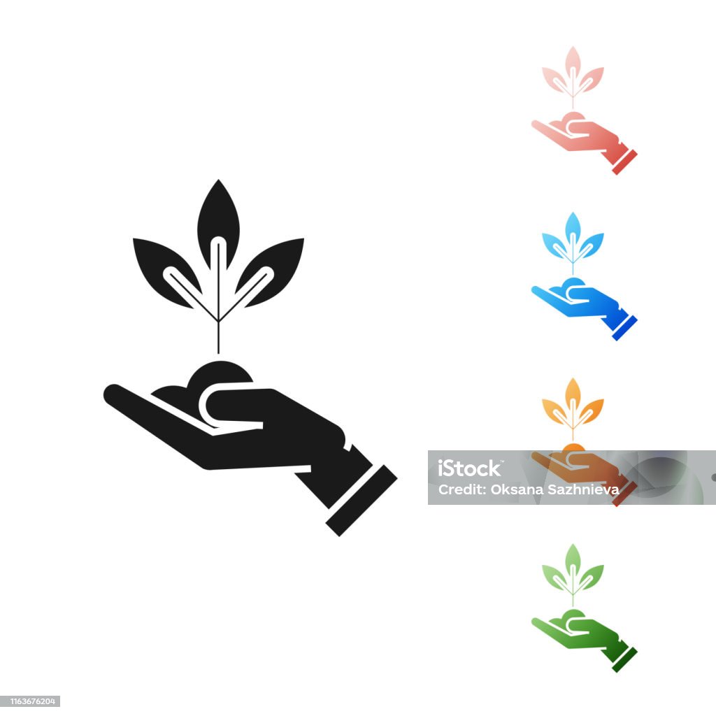 Plante Noire Dans La Main De Licône De Protection De Lenvironnement