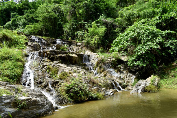 70 Fotos Bilder Und Lizenzfreie Bilder Zu Uttaradit Fotos Istock
