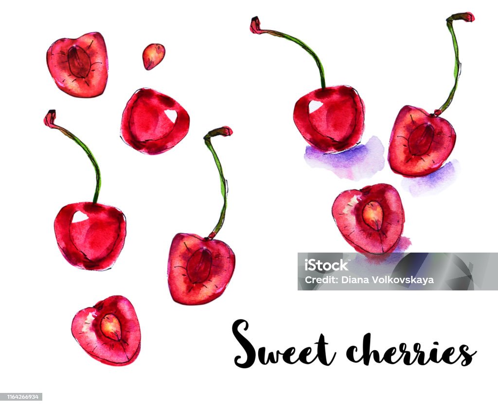 Ensemble Daquarelle De Cerises Juteuses Rouges Dessin De Croquis