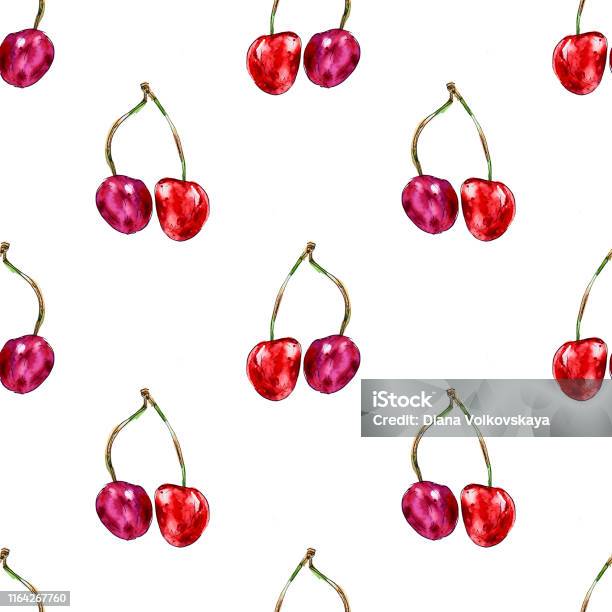 Modèle Daquarelle Sans Couture De Cerises Juteuses Rouges Dessin De