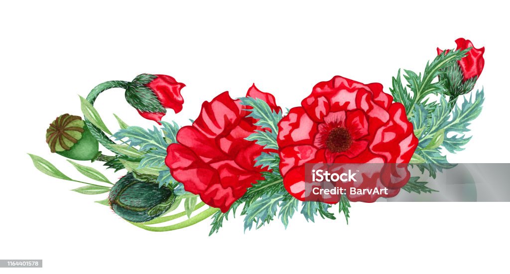 Bunga Poppy Cat Air Buket Cerah Yang Indah Dengan Poppy Merah Dan Daun