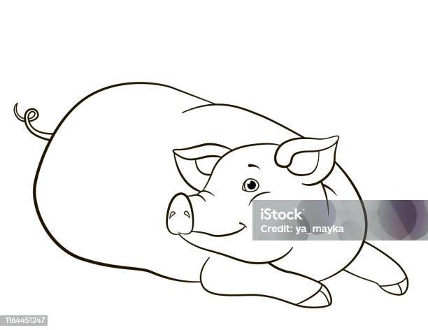 Vetores De Páginas Para Colorir O Porco Bonito Coloca E Sorri E Mais