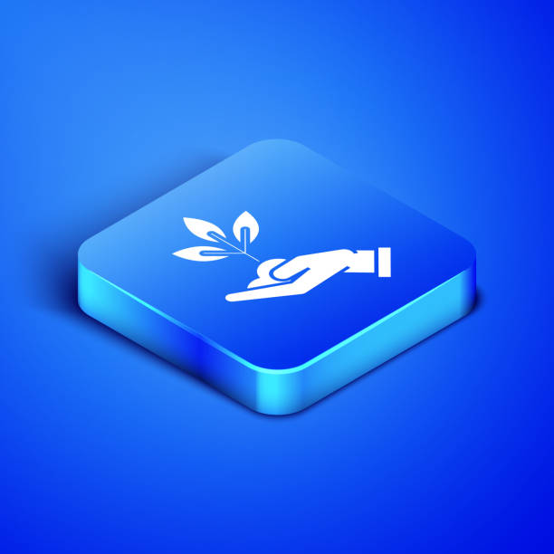 Person Holding Sapling Illustrations Royalty Free Vector Graphics