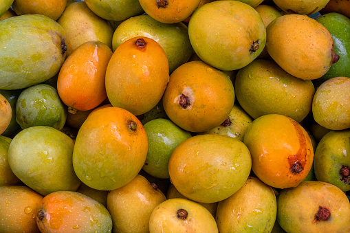 Köstlich Natürlich Gereifte Mangos Grün Und Gelblich Süß Saftig Mango Oder Aam Stockfoto Und