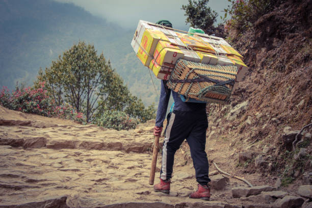 Free Stock Photo of Porter carrying a load on a mountain trek ...