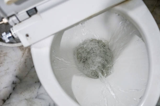 Toilet Flush Pictures | Download Free Images on Unsplash