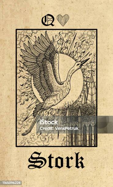 Cigogne Carte De Tarot Du Pont Doracle De Mystères Gothiques De