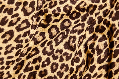 Tekstur Latar Belakang Macan Tutul Pola Safari Desain Bahan Kain Cetak