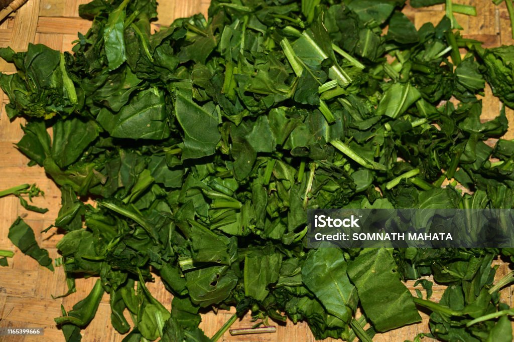 Espinaca Un Vegetal Verde De Hoja Científicamente Conocido Como
