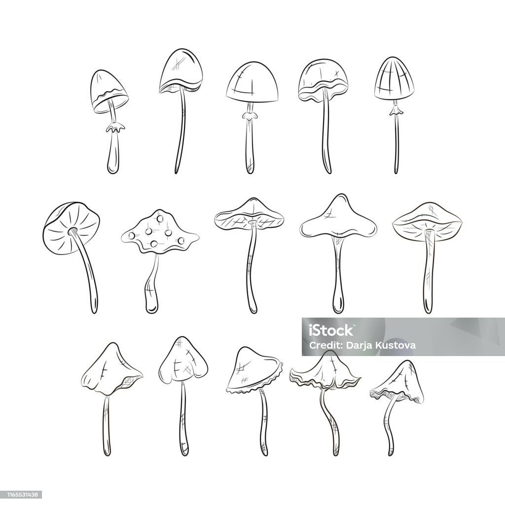 Schwarze Und Weiße Pilze Gesetzt Einfache Liniensymbole ... Schwarze Und Weiße Pilze Gesetzt Einfache Liniensymbole ...