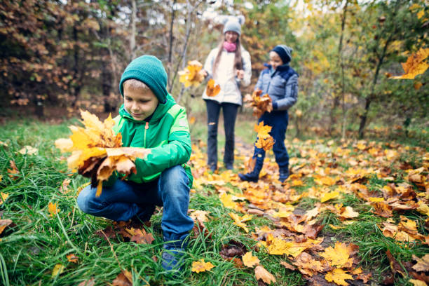 Free Stock Photo of Group of People Holding Autumn Leaves | Download ...