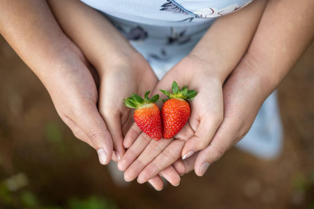 Free Stock Photo of Two Fresh Strawberries Together | Download Free ...
