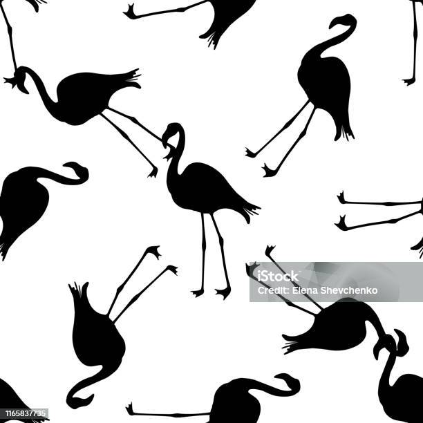 Ilustrasi Vektor Pola Flamingo Yang Mulus Pola Flamingo Hitam Latar