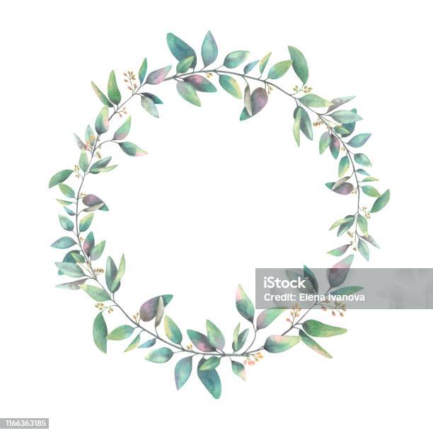 Couronne Daquarelle De Branches Avec Des Feuilles Vertes Vecteurs