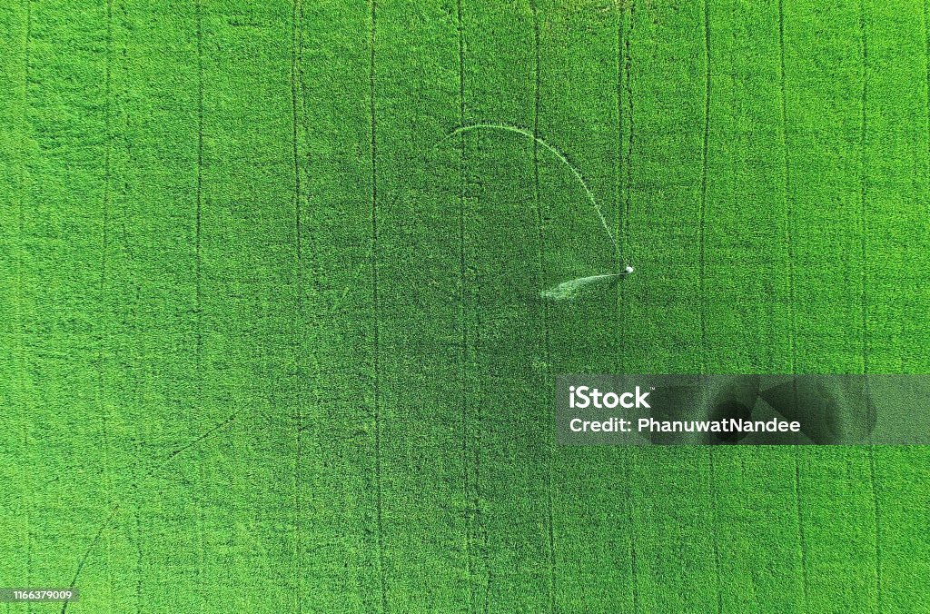 Pemandangan Udara Dari Drone Terbang Petani Thailand Menyemprotkan ... Pemandangan Udara Dari Drone Terbang Petani Thailand Menyemprotkan ...
