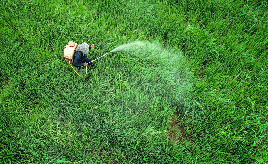 Pemandangan Udara Dari Drone Terbang Petani Thailand Menyemprotkan ... Pemandangan Udara Dari Drone Terbang Petani Thailand Menyemprotkan ...