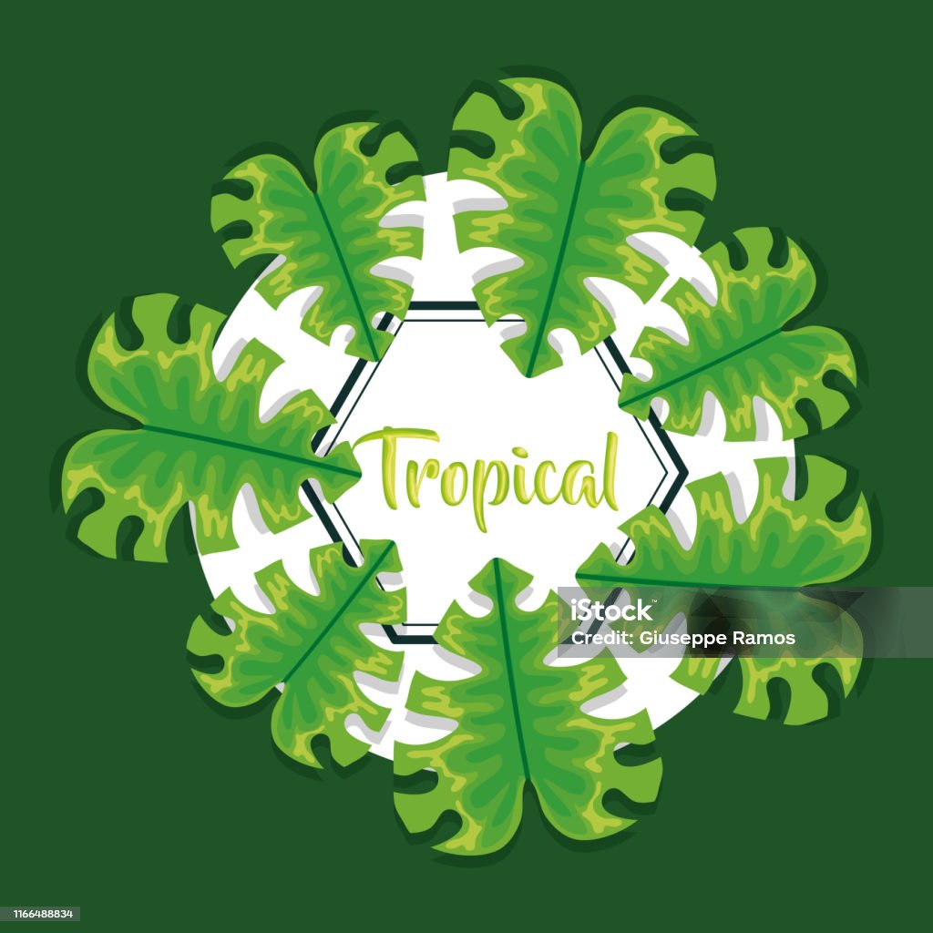 Bingkai Melingkar Dengan Daun Tropis Ilustrasi Stok - Unduh Gambar ... Bingkai Melingkar Dengan Daun Tropis Ilustrasi Stok - Unduh Gambar ...