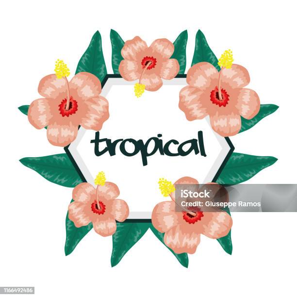 Bingkai Melingkar Dengan Bunga Dan Daun Tropis Ilustrasi Stok - Unduh ... Bingkai Melingkar Dengan Bunga Dan Daun Tropis Ilustrasi Stok - Unduh ...