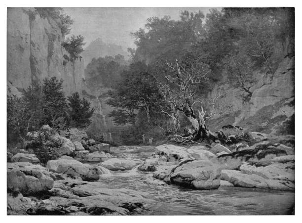 50 Yosemite National Park And Wildlife Stock Illustrations Royalty