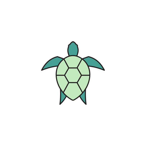 50+ Seaturtle Stock Illustrations, Royalty-Free Vector Graphics & Clip ... 50+ Seaturtle Stock Illustrations, Royalty-Free Vector Graphics & Clip ...