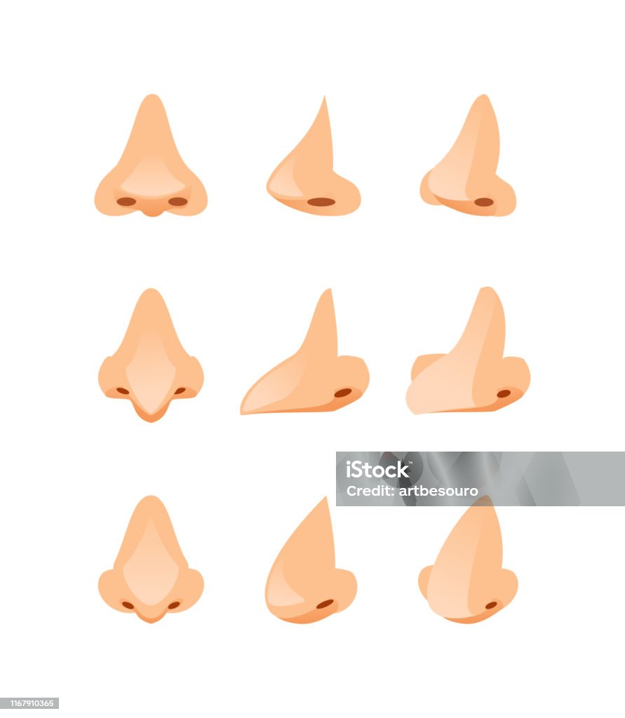 Noses In Different Angles Vector Stock Illustration Download Image