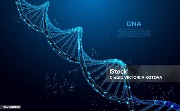 Dna Abstrak 3d Poligonal Wireframe Molekul Dna Ilmu Kedokteran