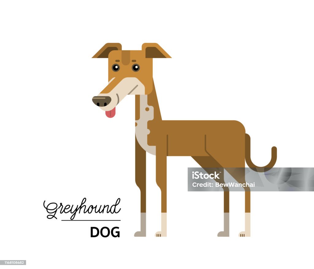 Desain Datar Anjing Greyhound Vektor Terisolasi Ilustrasi Stok - Unduh ... Desain Datar Anjing Greyhound Vektor Terisolasi Ilustrasi Stok - Unduh ...