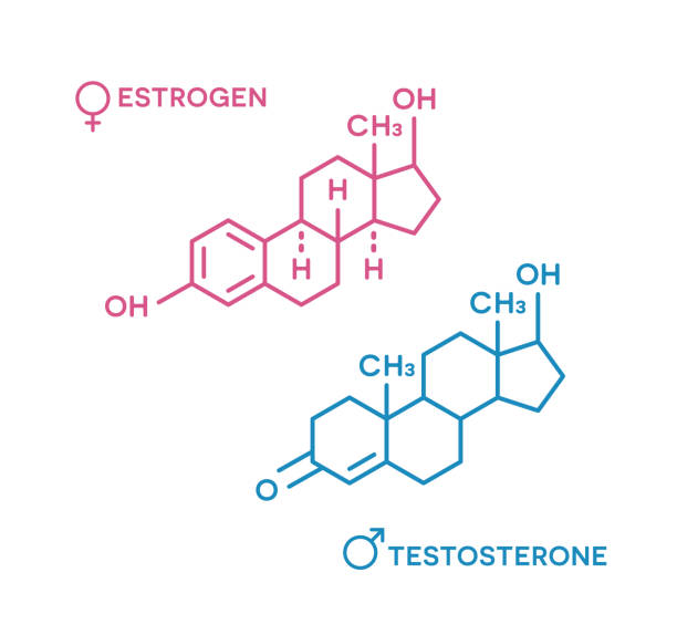 Hormone Du Plaisir Vectoriels Et Illustrations Libres De Droits Istock