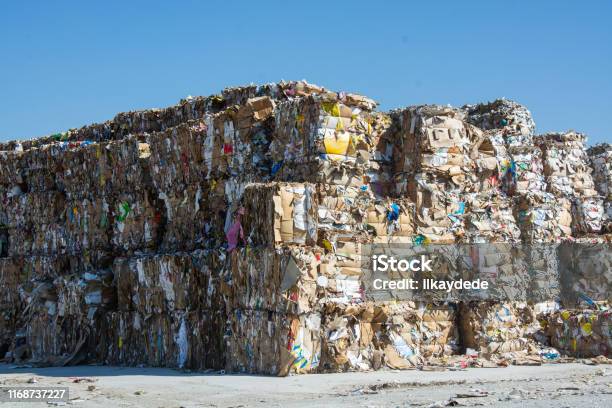 Waste Paper Is Collected And Packed For Recycling Cardboard And Paper ... Waste Paper Is Collected And Packed For Recycling Cardboard And Paper ...
