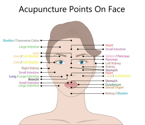 Face Reflexology Map