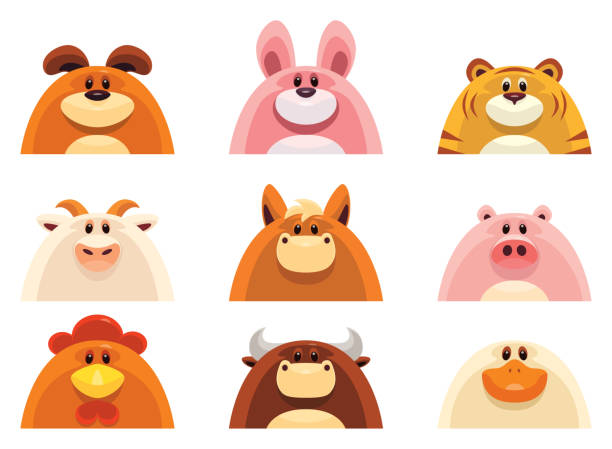 Fat Animals Cartoon