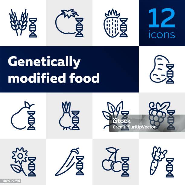 Ensemble Dicônes De Ligne Daliments Génétiquement Modifiés Gène Grain